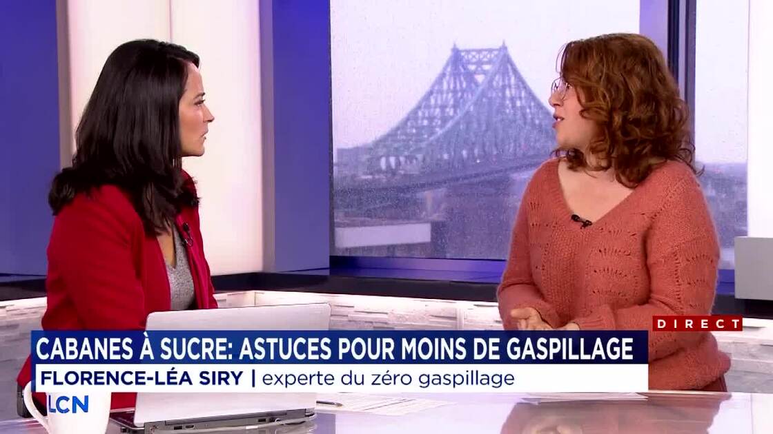 Le Québec matin : émission | LCN | TVA Nouvelles