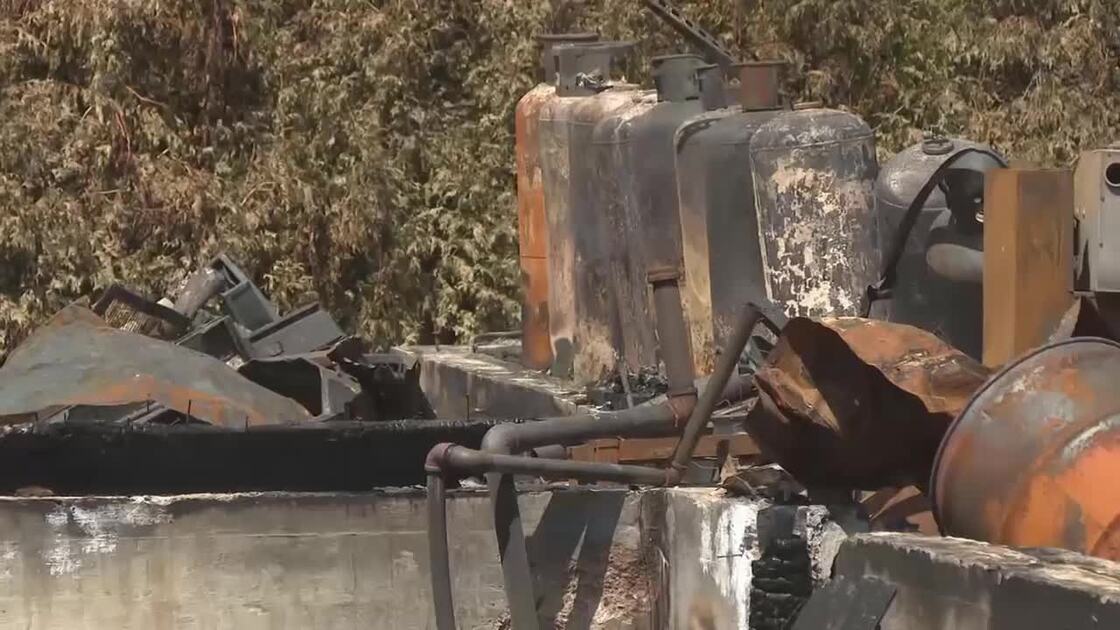 Vidéos et bulletins de nouvelles | TVA Nouvelles