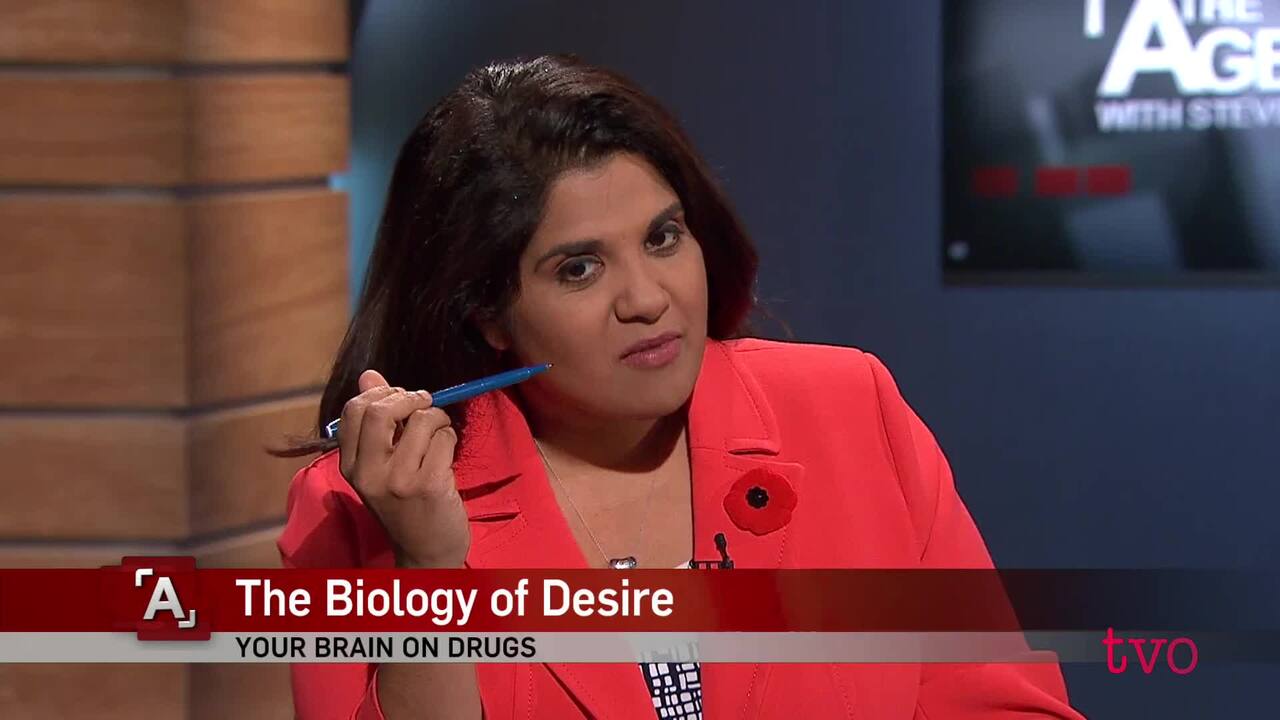 Marc Lewis: The Biology of Desire | TVO Today
