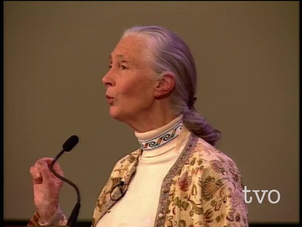 Jane Goodall on Chimpanzee and Human Emotions | TVO Today