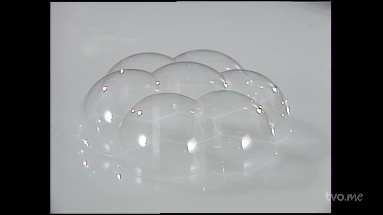 The Architecture of Bubbles | TVO Today