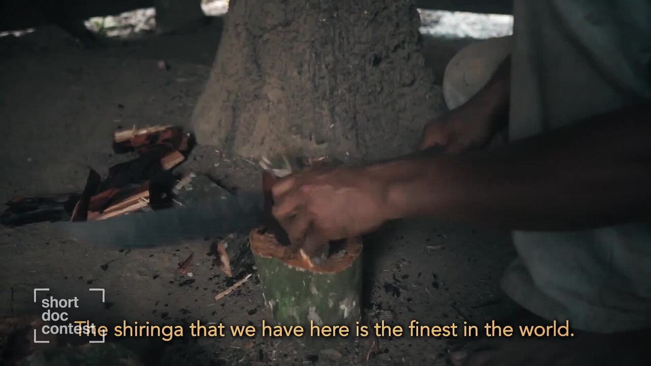 Shiringa: Amazon white gold | TVO Today