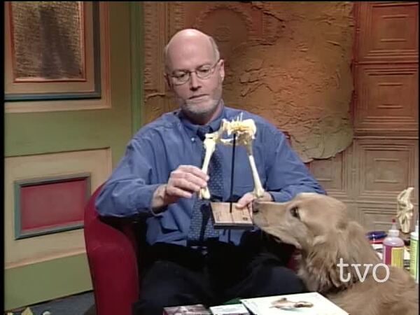 Everest And Environment | TVO Today