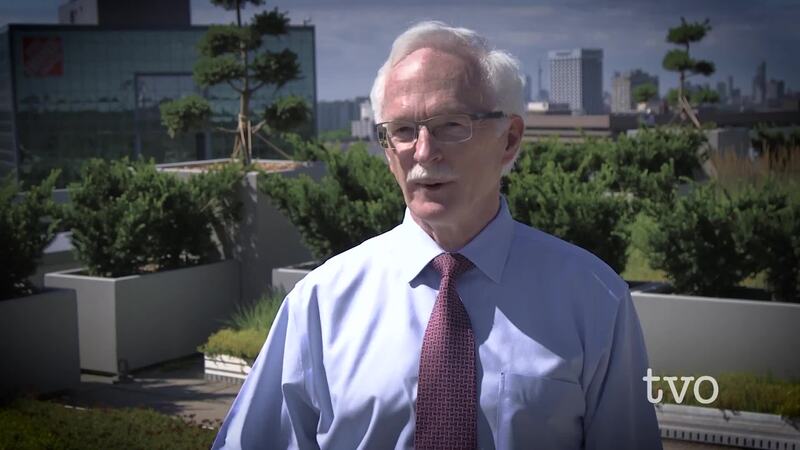 Climate Watch Shorts: Urban heat island effect | TVO Today