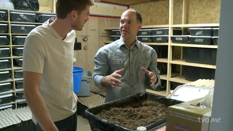 More Food, Less Water | TVO Today