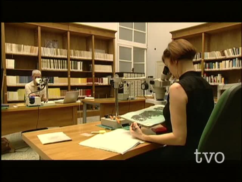 Ep. 2 - Learning to Read | TVO Today