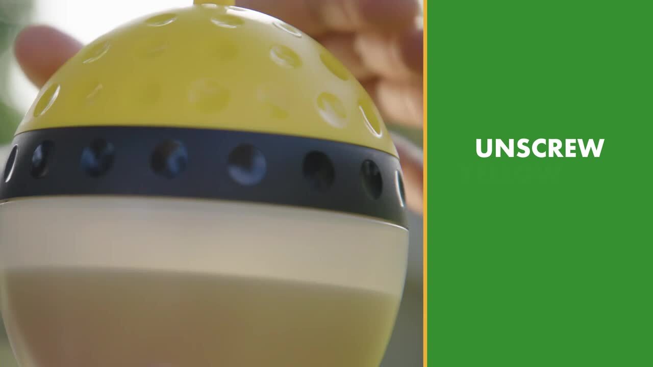 Spectracide Wasp, Hornet and Yellow Jacket Canister Insect Trap (1 ...