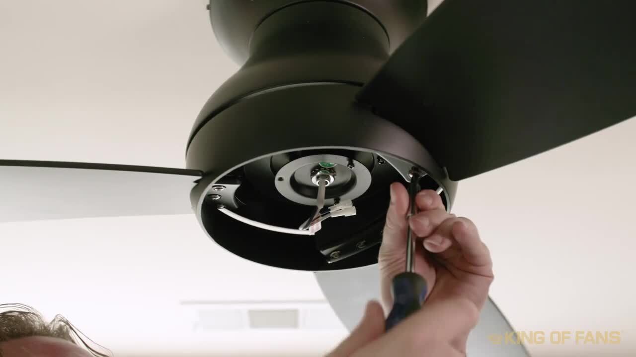 10 in. Personal Fly Fan in Black with RGB Light (2-Pack) FF01-BK - The ...