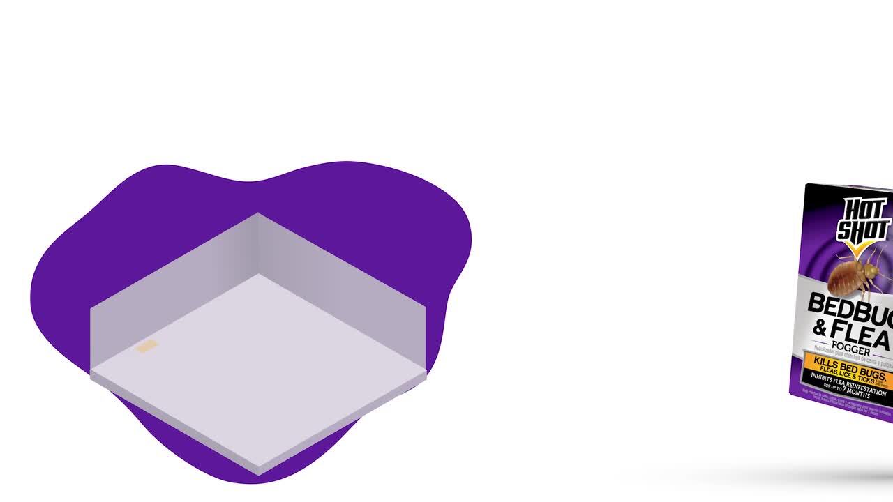 Hot Shot 17.5 oz. Pyrethroid-Resistant Bed Bug Insect Killer Aerosol HG ...