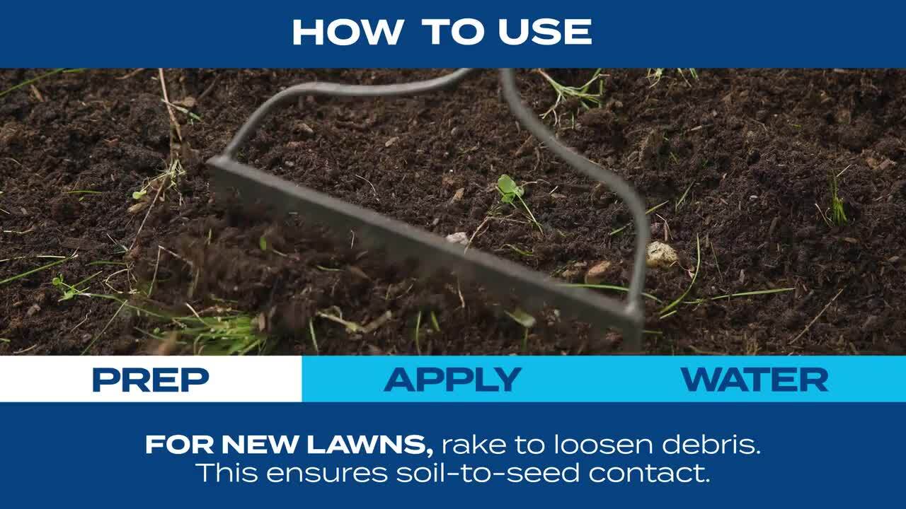 Scotts Grass Seed Drought Tolerant Mix 4 lb. 2,000 sq. ft. Kentucky ...