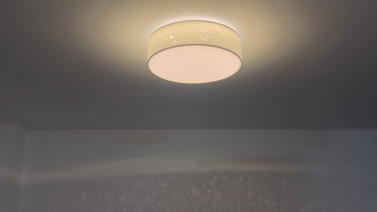 Mounting Ceiling Light Cover Flush Mount Lighting | Flush Mount