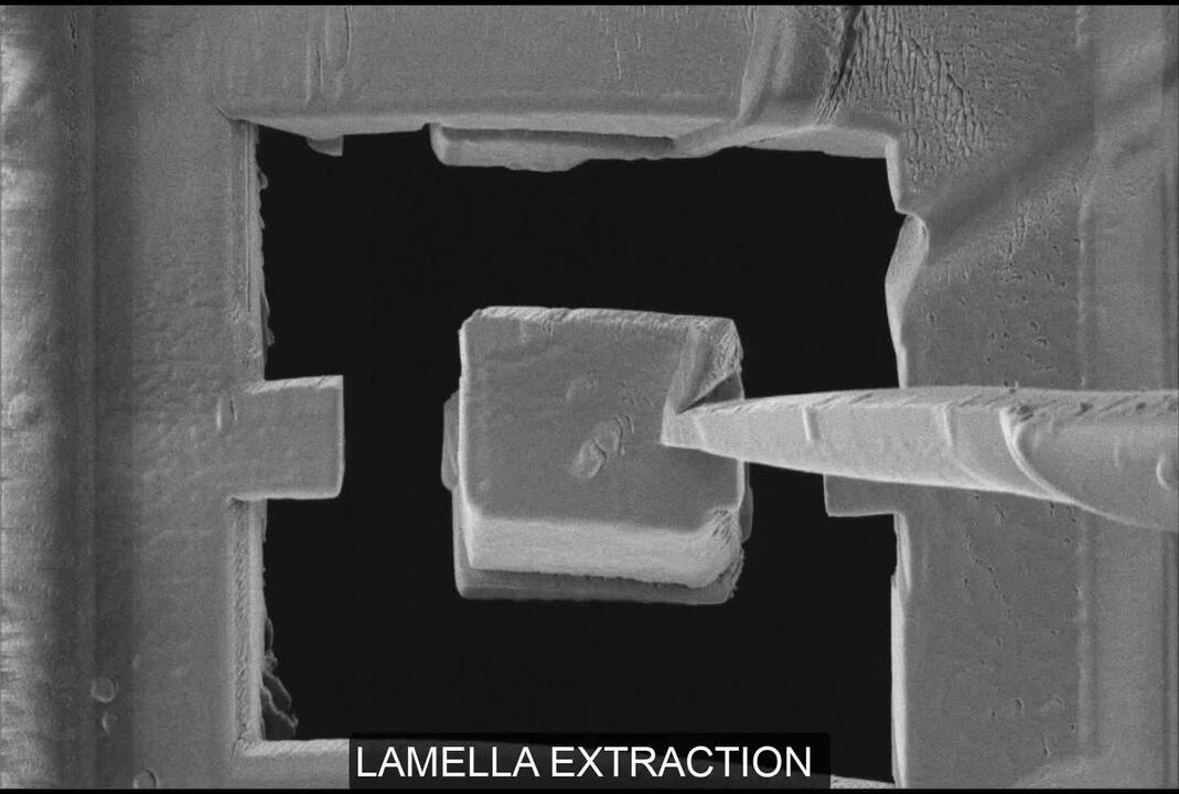 Aquilos 2 Cryo FIB_冷冻电镜-赛默飞电子显微镜