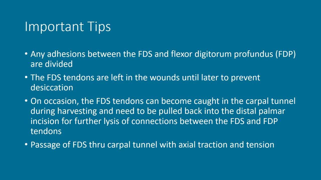 Sublimis Tendon Profundus Transfer To