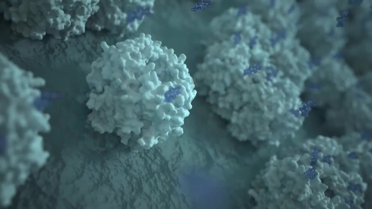 SIMODIS® - PLINAZOLIN® Technology insecticide | Syngenta