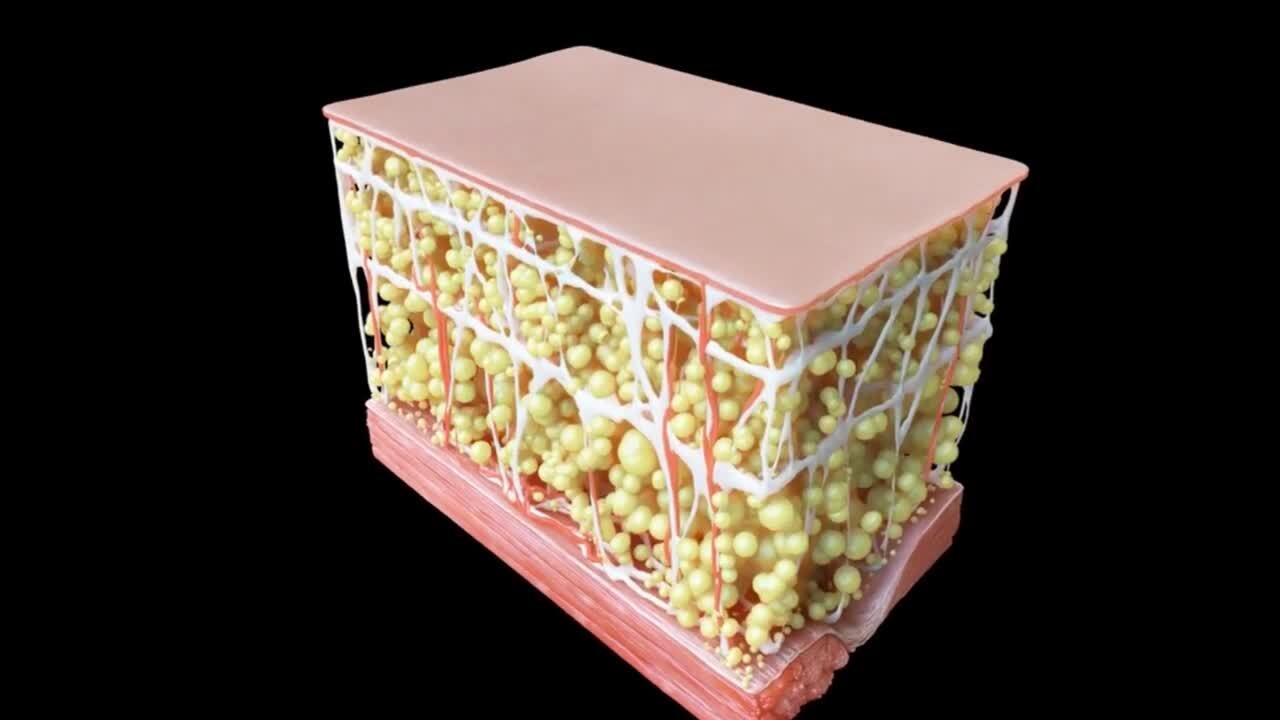 Welcome to Millard Plastic Surgery! - Video - RealSelf