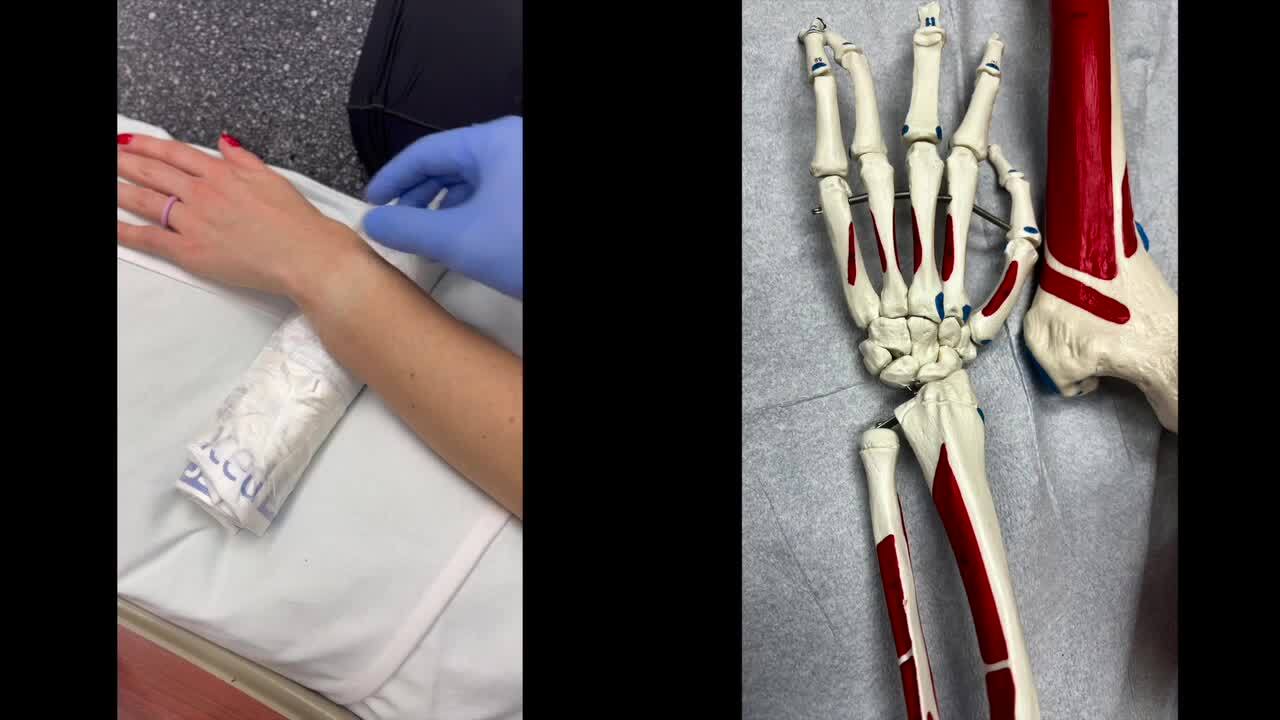 American Academy of Orthopaedic Surgeons