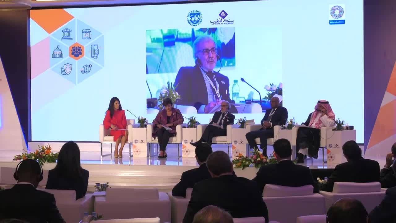 IMF Videos - Spanish: Development Committee Press Briefing