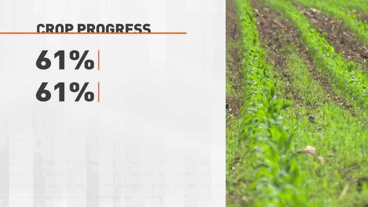 Crop Progress 080222 - Farm Journal TV
