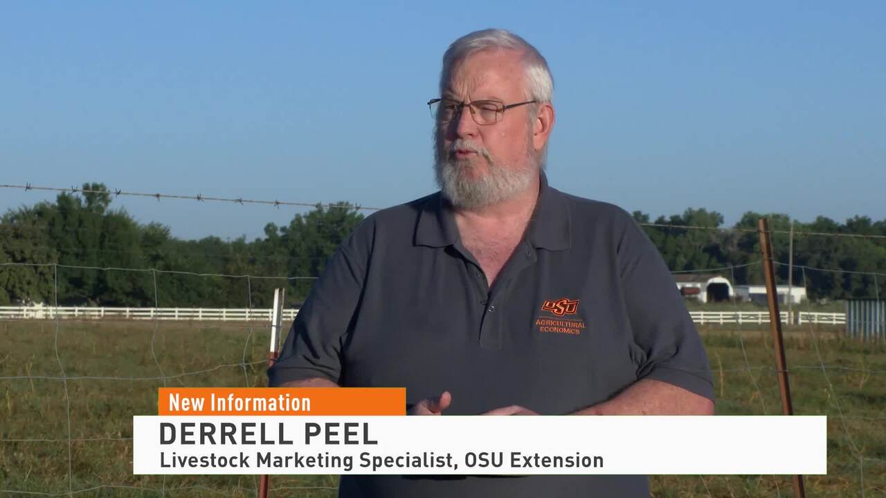 AgDay 08/17/21 - Crop Tour Day 1 Results Package - NEWS FEED - Farm ...