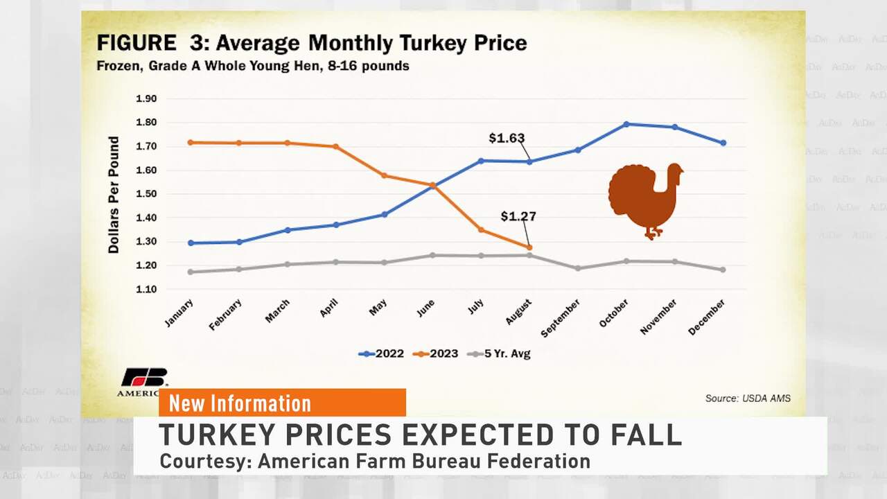 AgDay 08/17/21 - Crop Tour Day 1 Results Package - NEWS FEED - Farm ...
