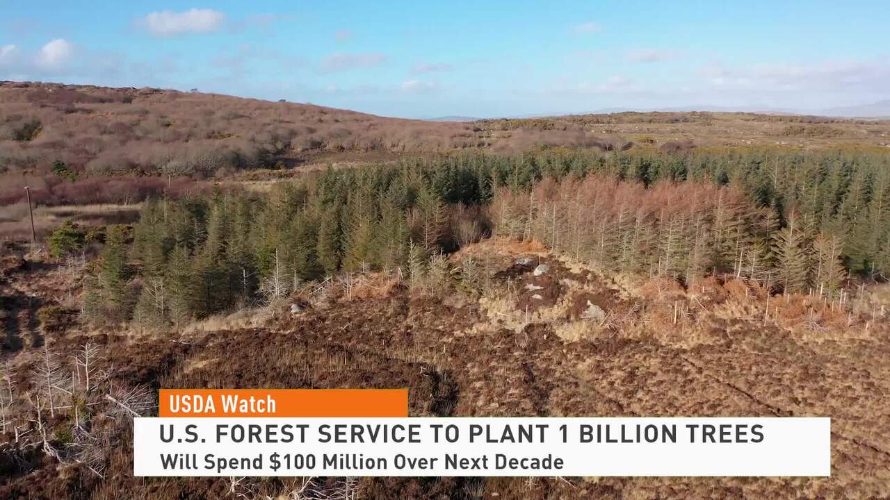 Reforestation 072722 - NEWS FEED - Farm Journal TV