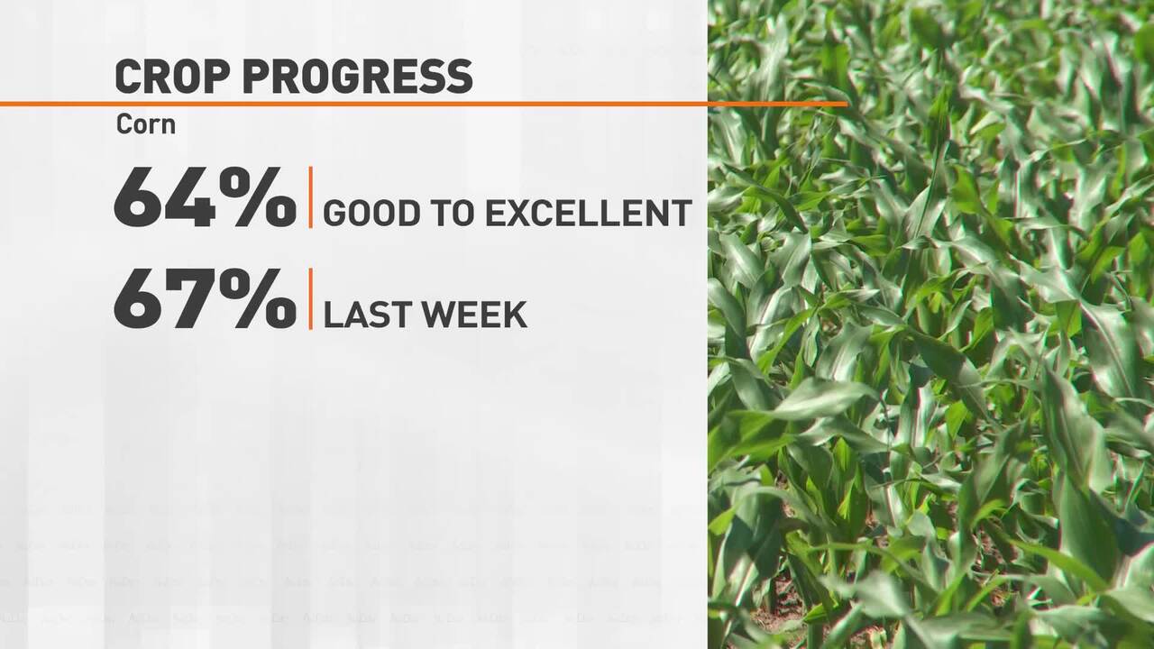 Crop Progress 070722 - NEWS FEED - Farm Journal TV