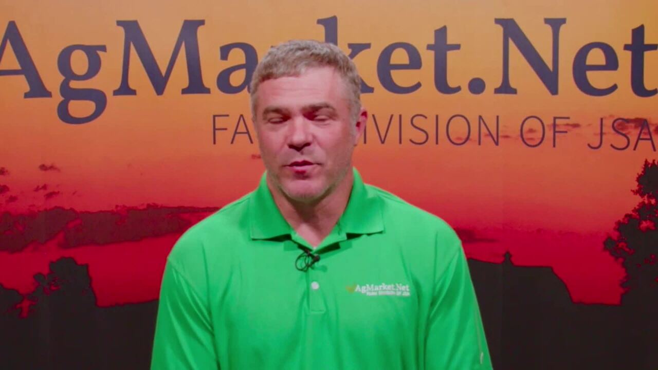 Market Close with Michelle Rook 081522 - THE LATEST - AgDay OTT