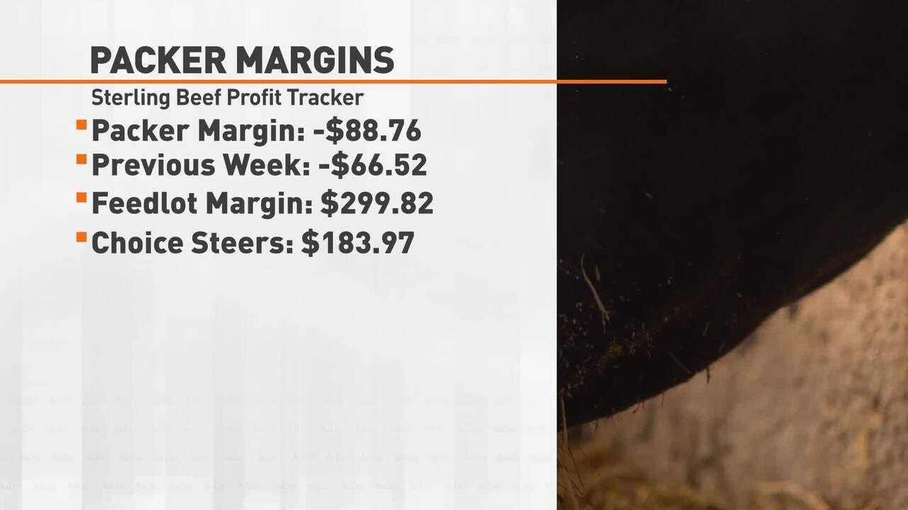 AgDay 08/17/21 - Crop Tour Day 1 Results Package - NEWS FEED - Farm ...