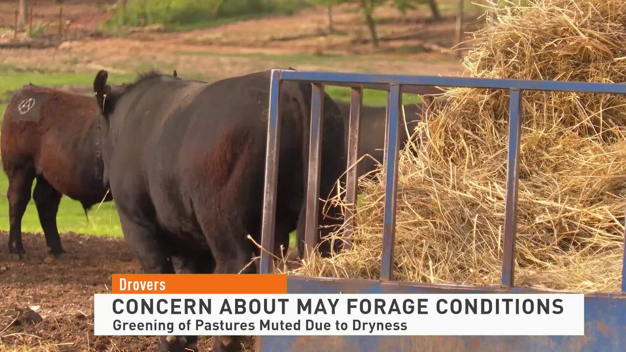 PJ Haynie 021221 - NEWS FEED - Farm Journal TV