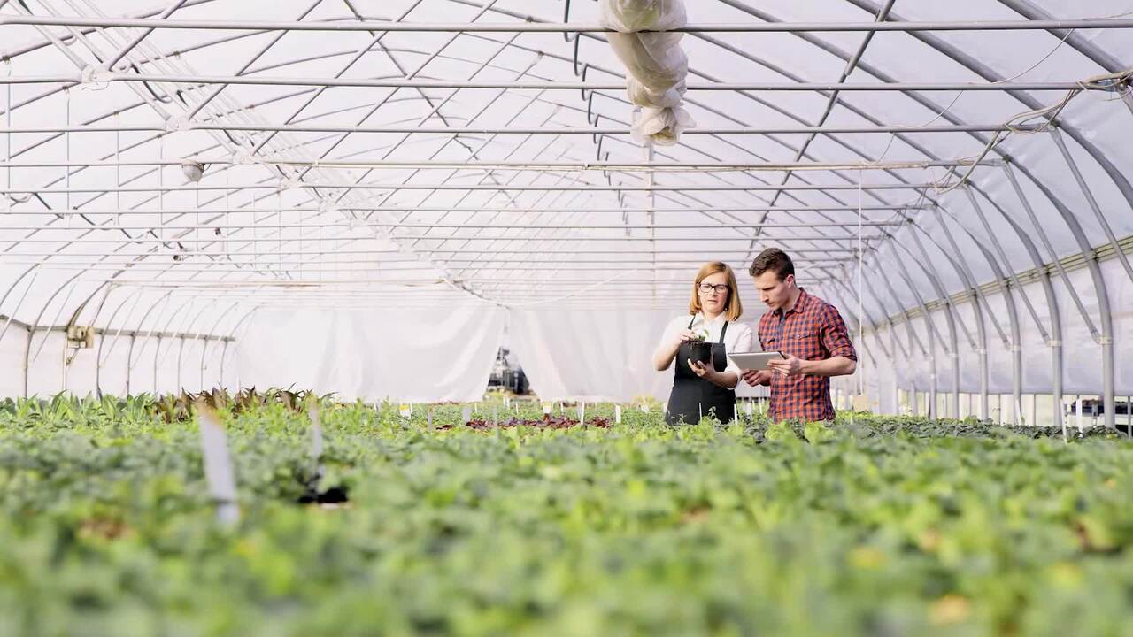 Easterday Farms Update 062821 - NEWS FEED - Farm Journal TV