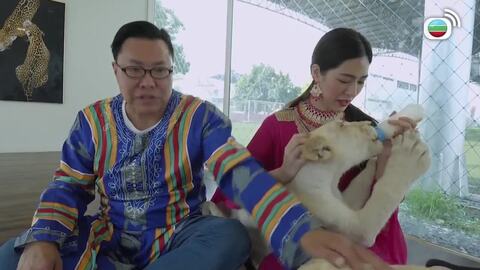 復刻古靈精怪東南亞：泰國篇 - 免費觀看TVB劇集 - TVBAnywhere 北美官方網站