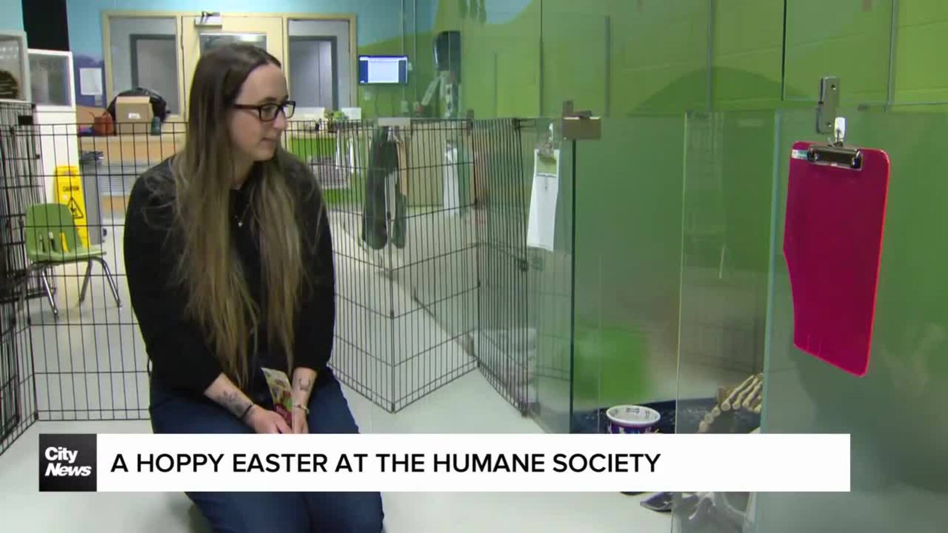 A hoppy Easter at the humane society