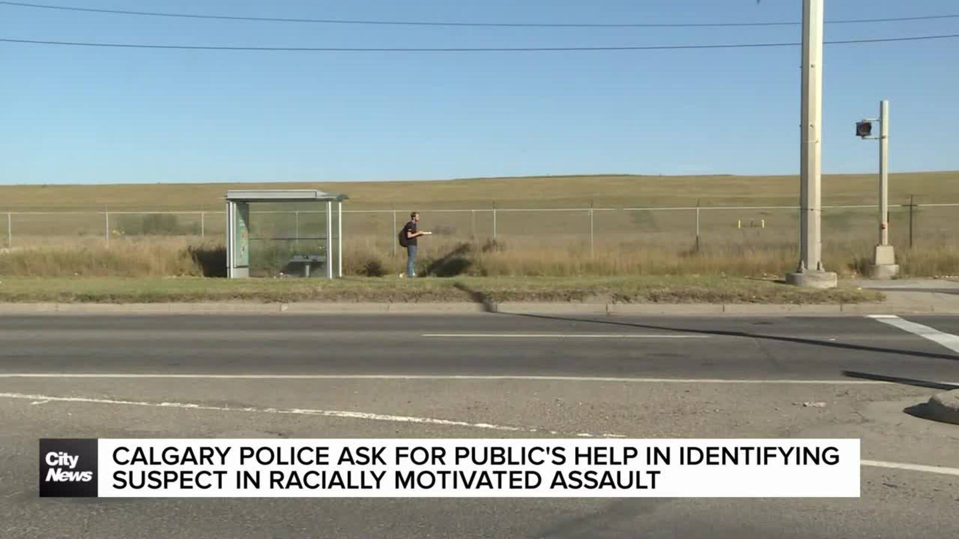 Alberta premier cracks 51% approval in latest Angus Reid poll