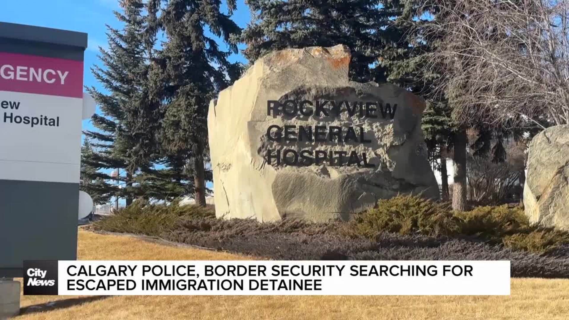 Calgary Police, Border Security searching for escaped immigration detainee