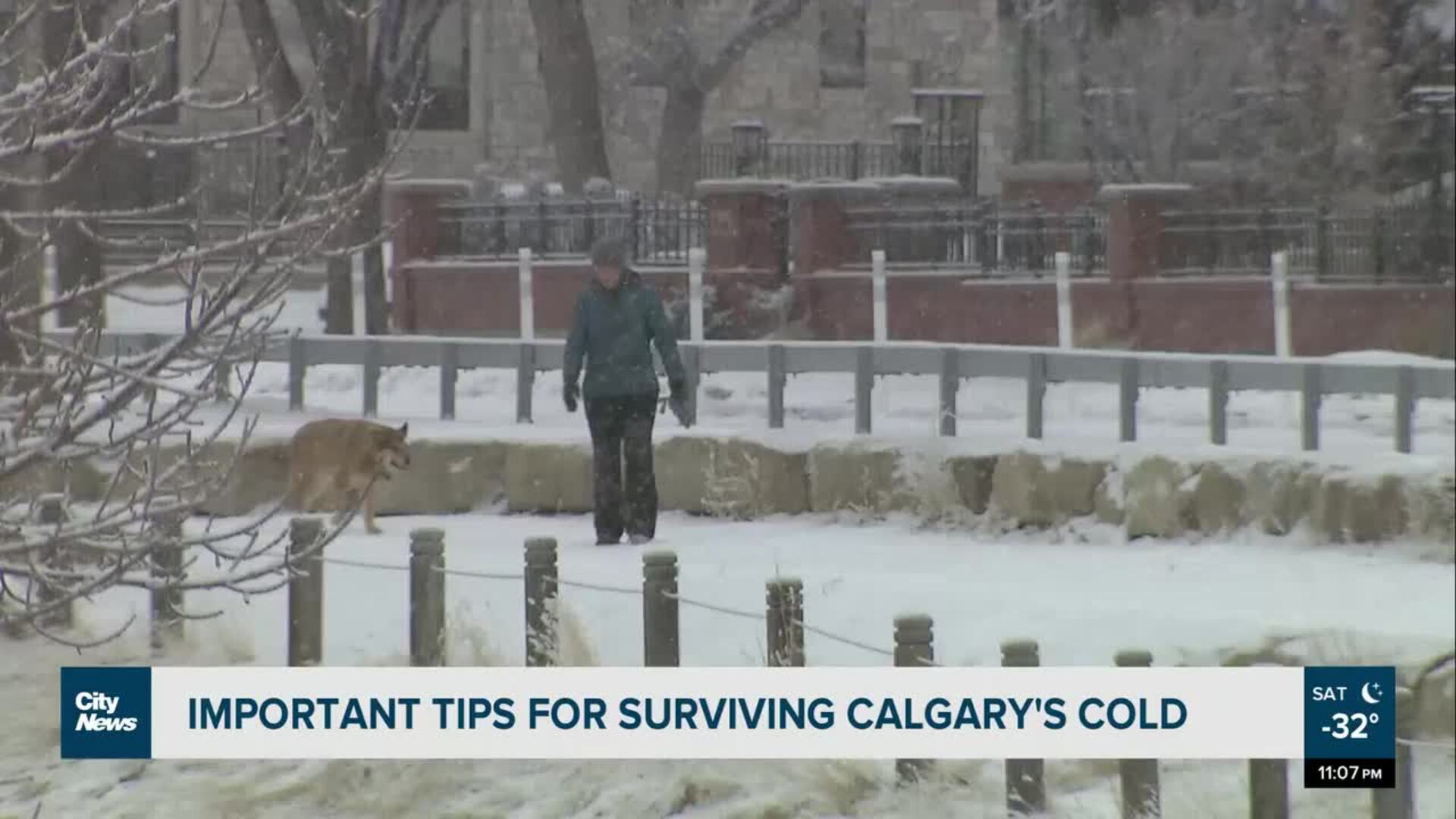 Calgary mayor ‘gutted’ over menorah lighting withdrawal - Video ...