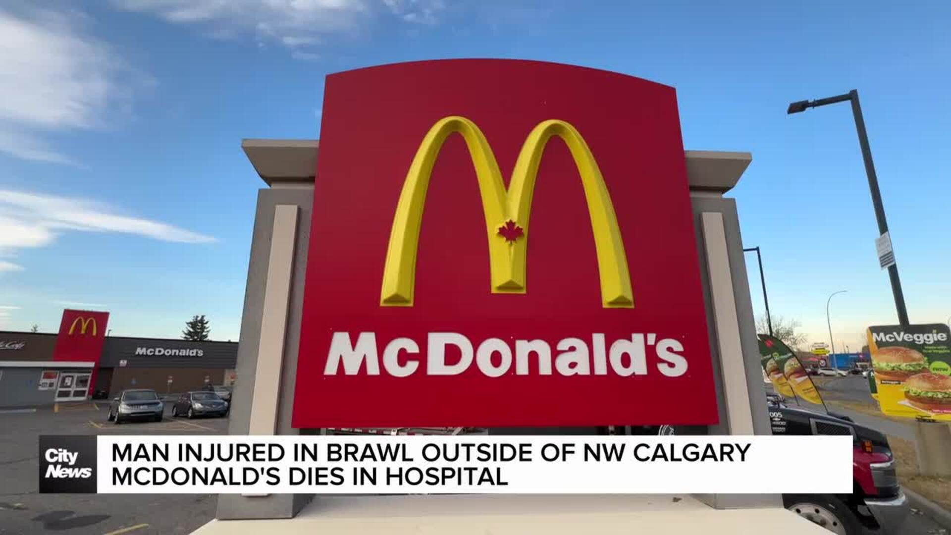 Eligible Alberta drivers can exit GDL program - CityNews Calgary