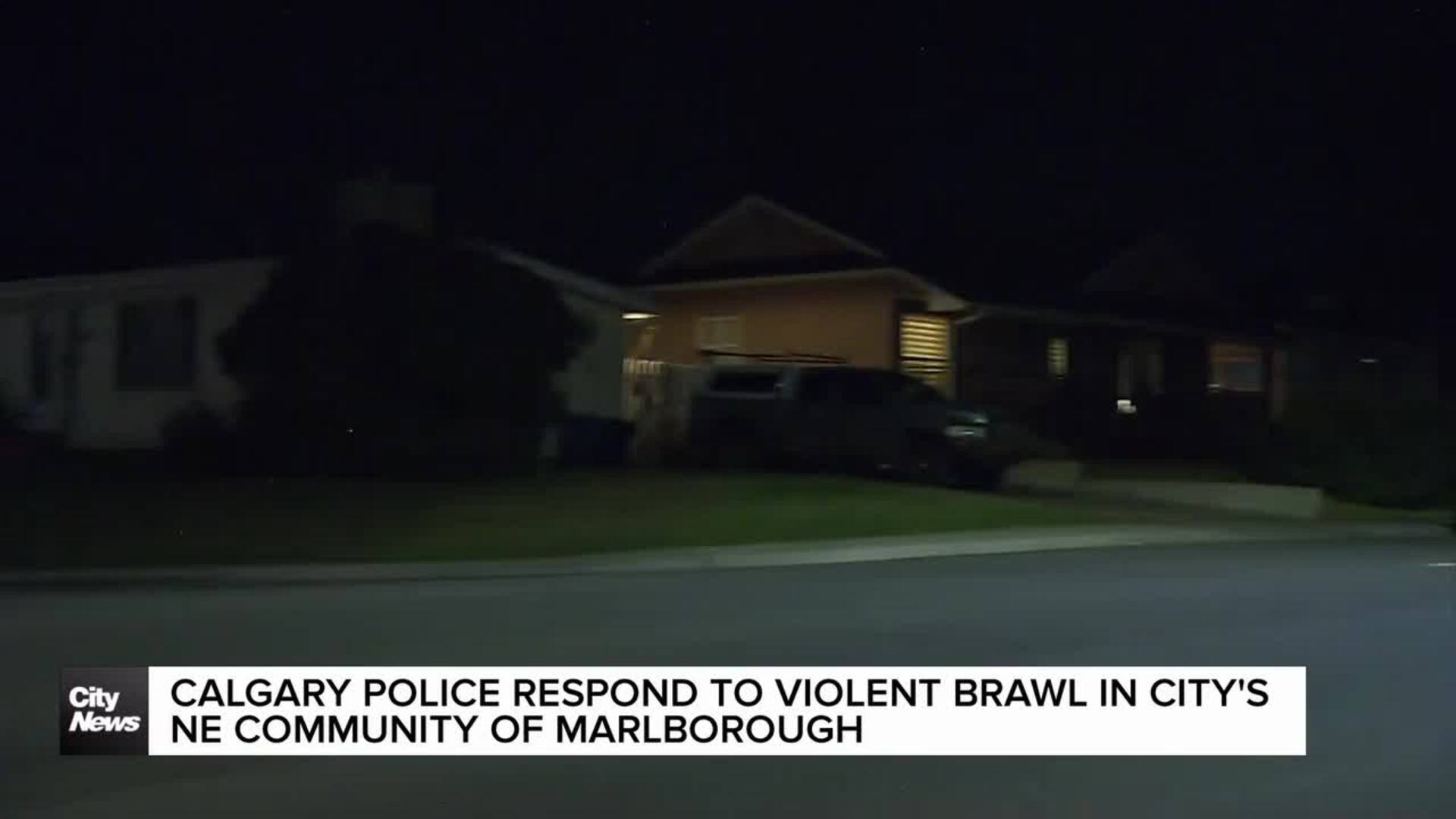 Calgary's Haskayne Legacy Park opening Sept. 16 - CityNews Calgary