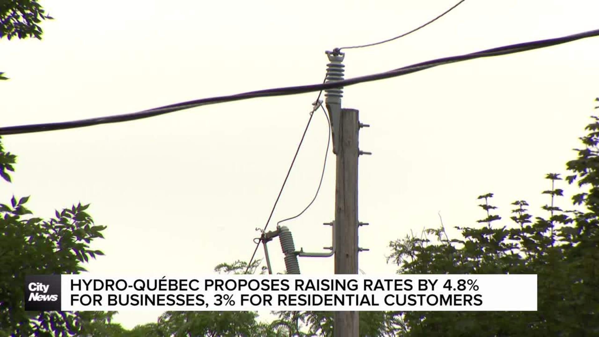 Hydro-Québec proposes 4.8% hike on electricity rates for businesses