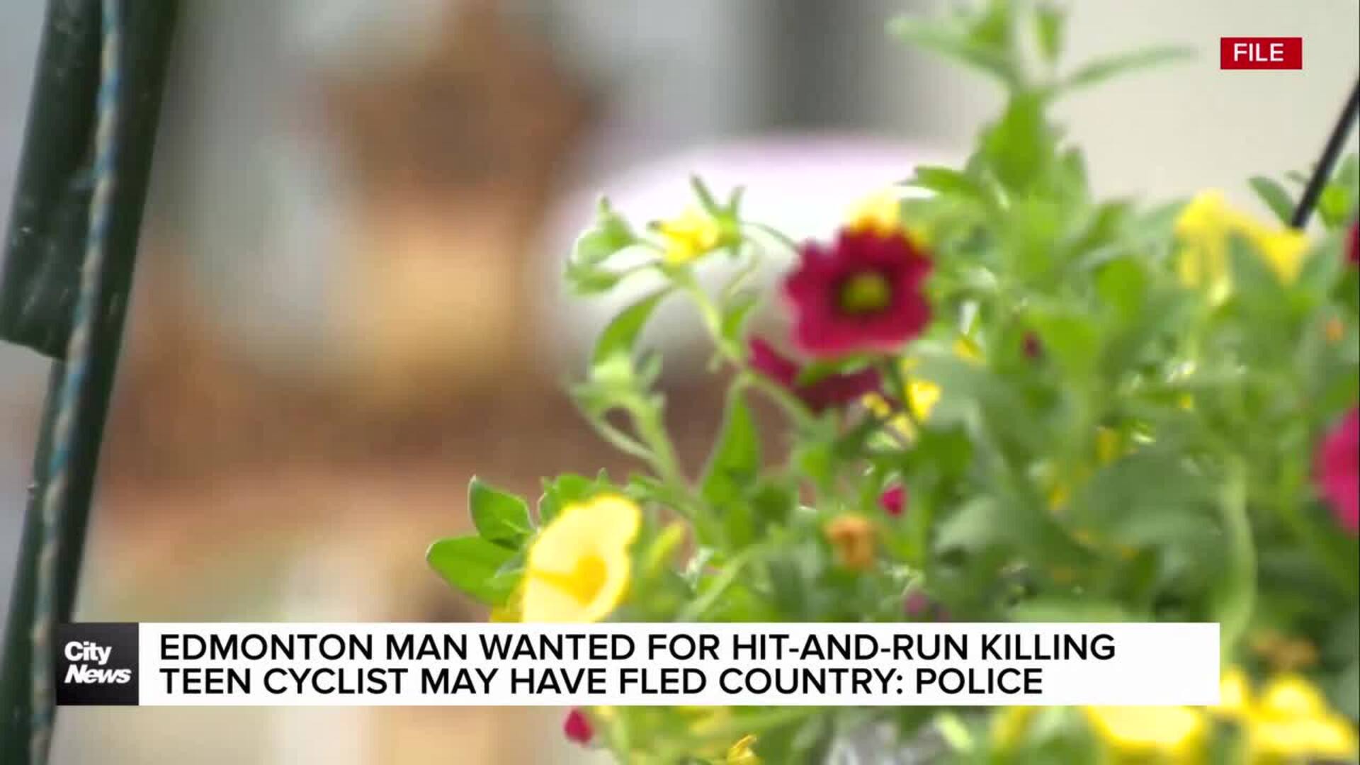 Province facing backlash for move toward mandatory pronoun notification in schools