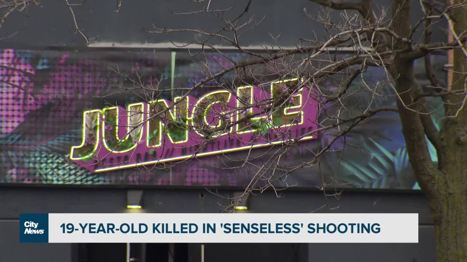 Police searching for suspects after 'Innocent woman' killed in a ...