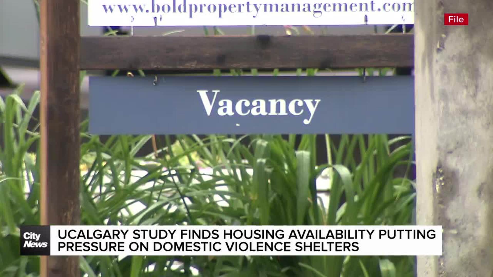 UCalgary study finds housing availability putting pressure on domestic ...