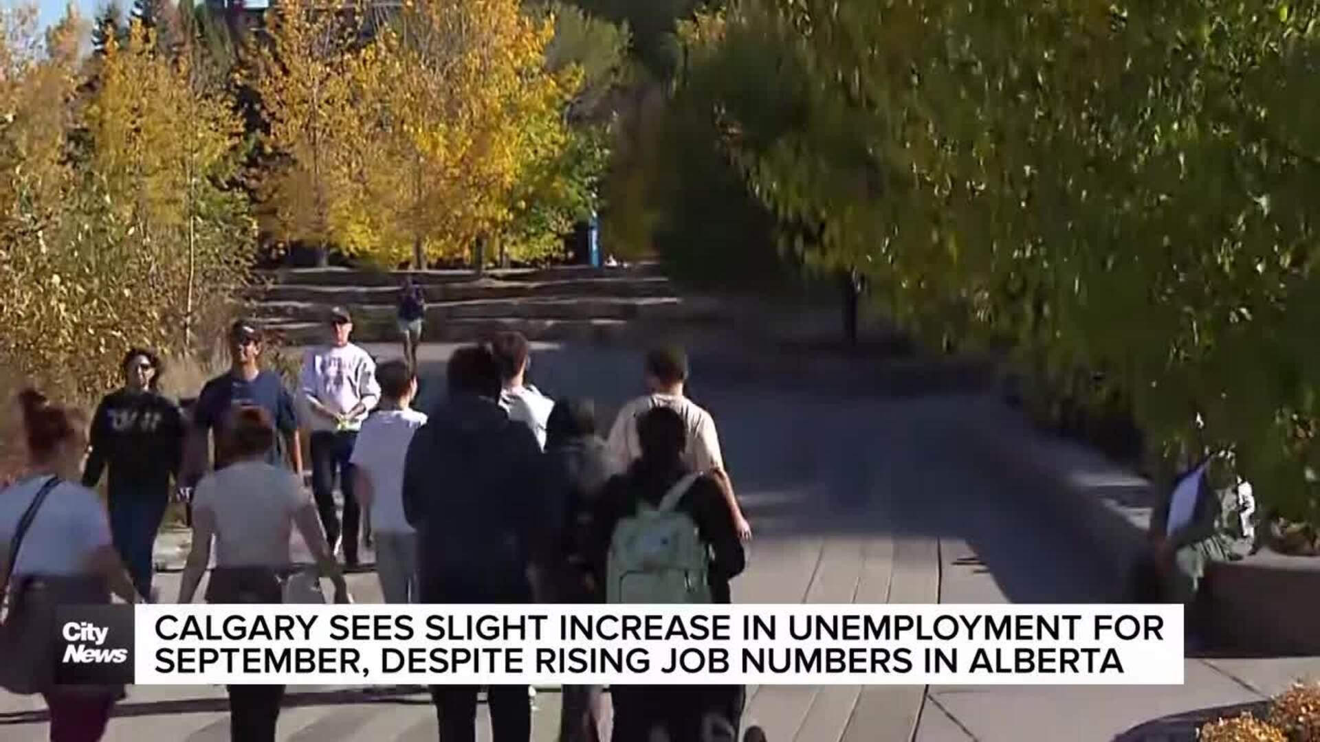 Alberta premier cracks 51% approval in latest Angus Reid poll