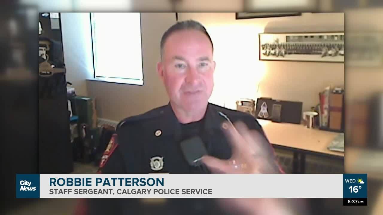 Drive safe campaign for rookies in Calgary | CityNews Calgary