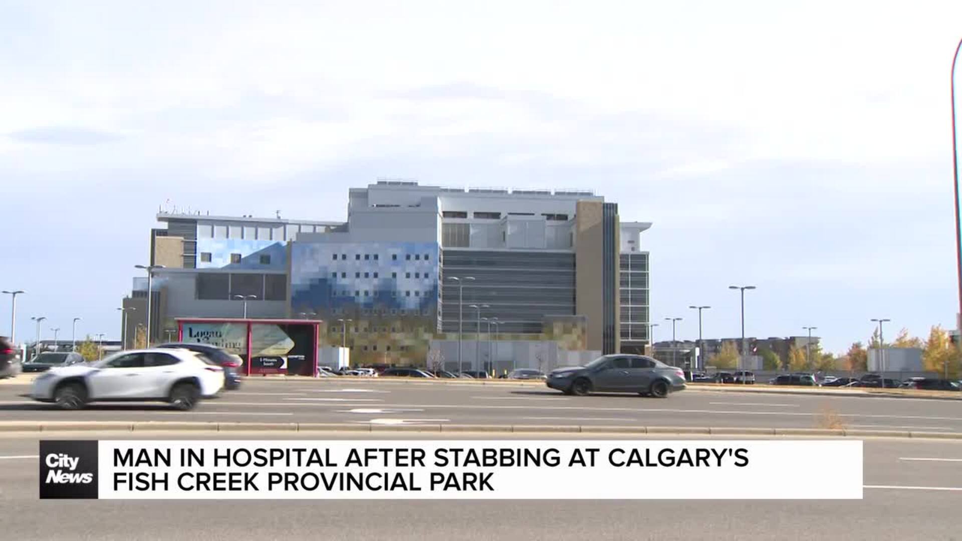 Farkas passes Gondek as Calgary mayoral favourite in poll