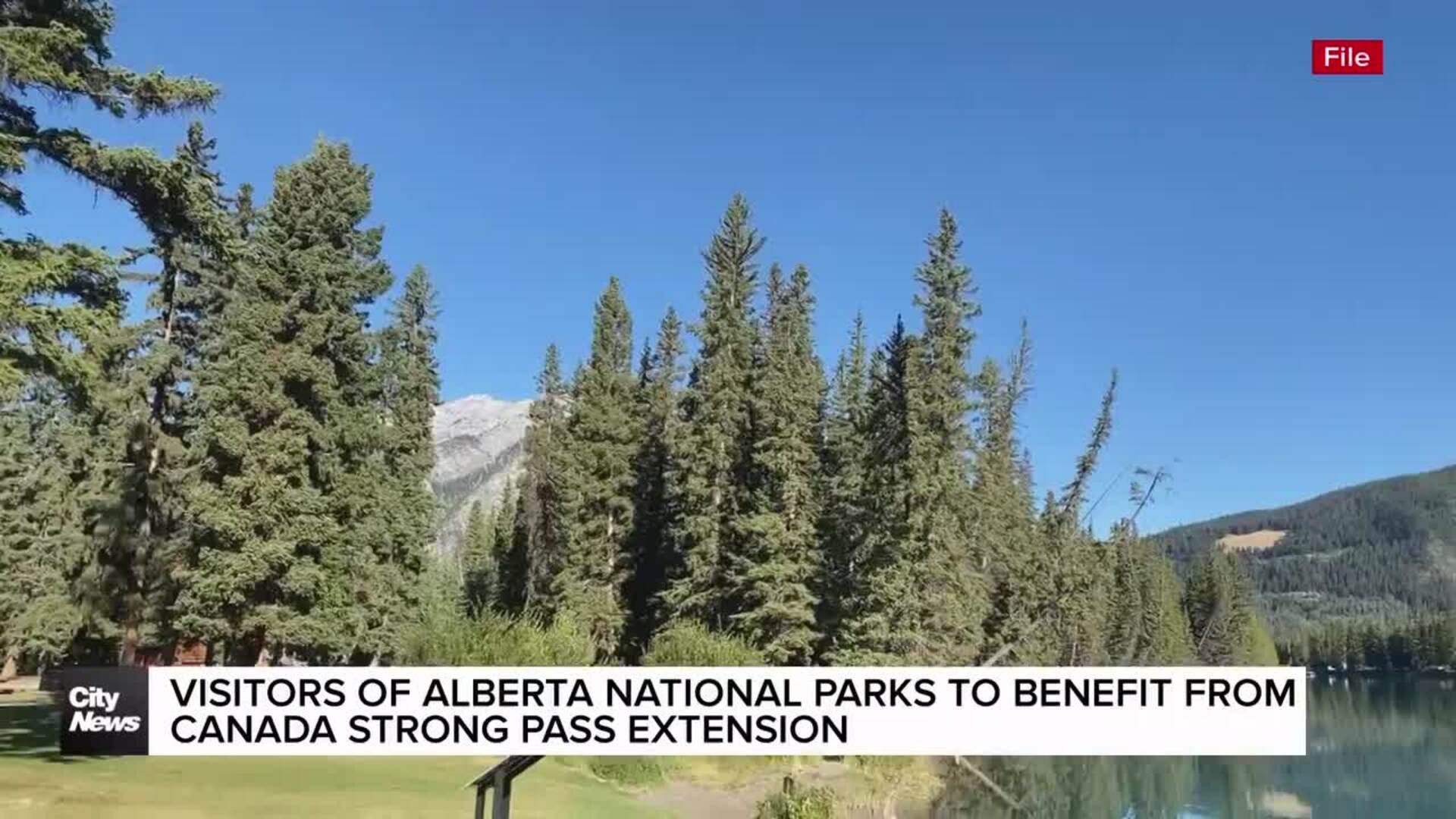 Alberta premier cracks 51% approval in latest Angus Reid poll