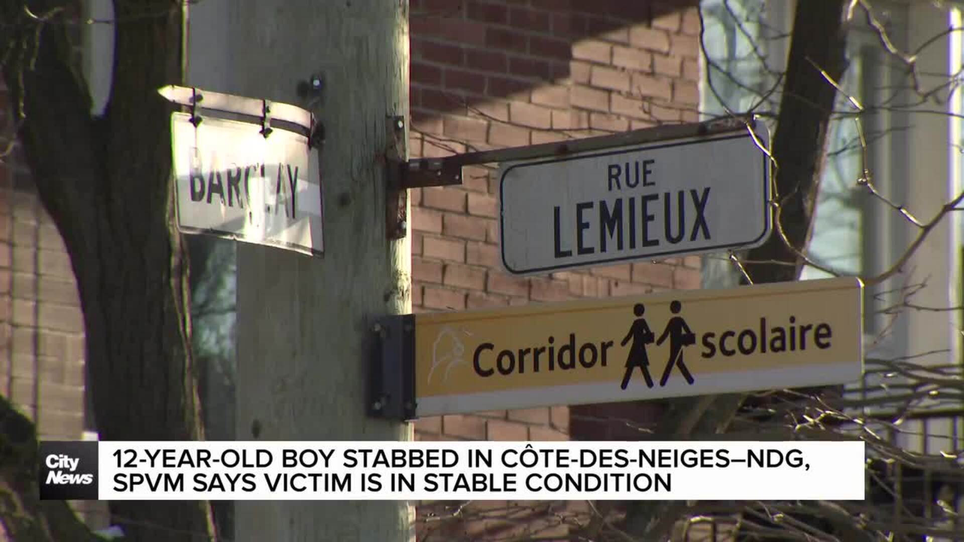 SPVM investigates stabbing of 12-year-old in Côte-Des-Neiges-NDG