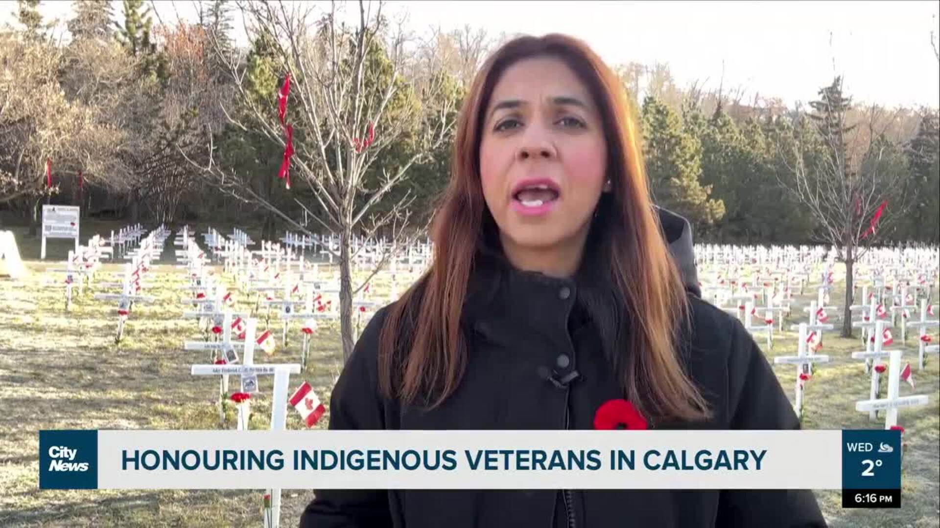 The Latest: George C. Wolfe pleased with scope of Tony nods | CityNews ...