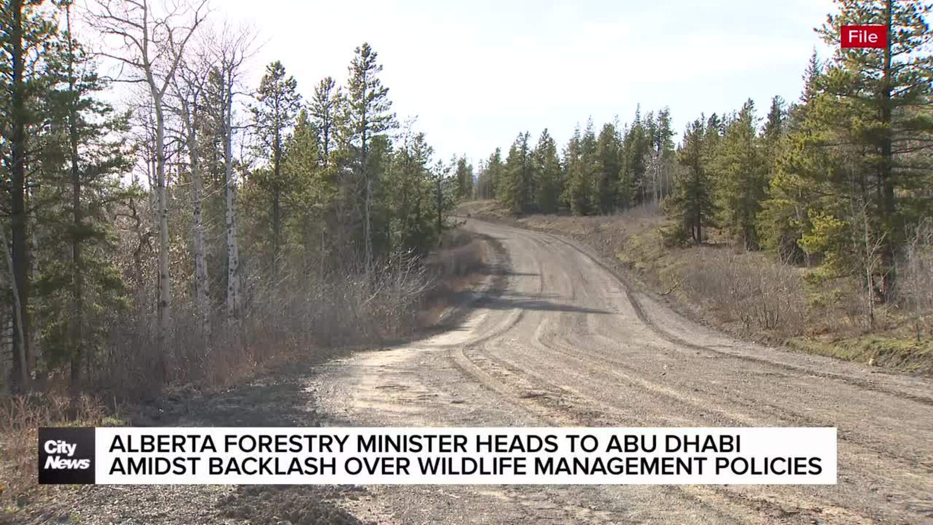 Calgary 2024 crime severity index at lowest in decade