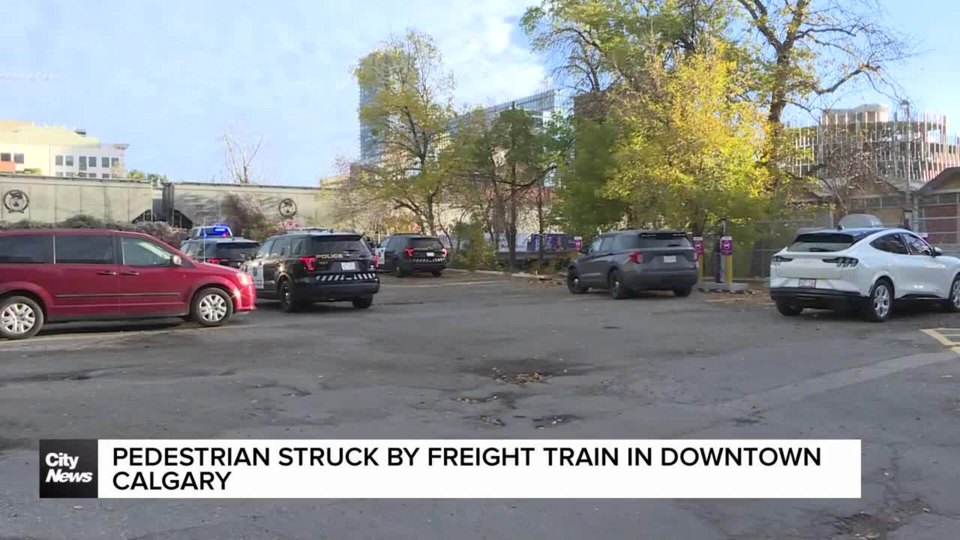 Calgary 2024 crime severity index at lowest in decade