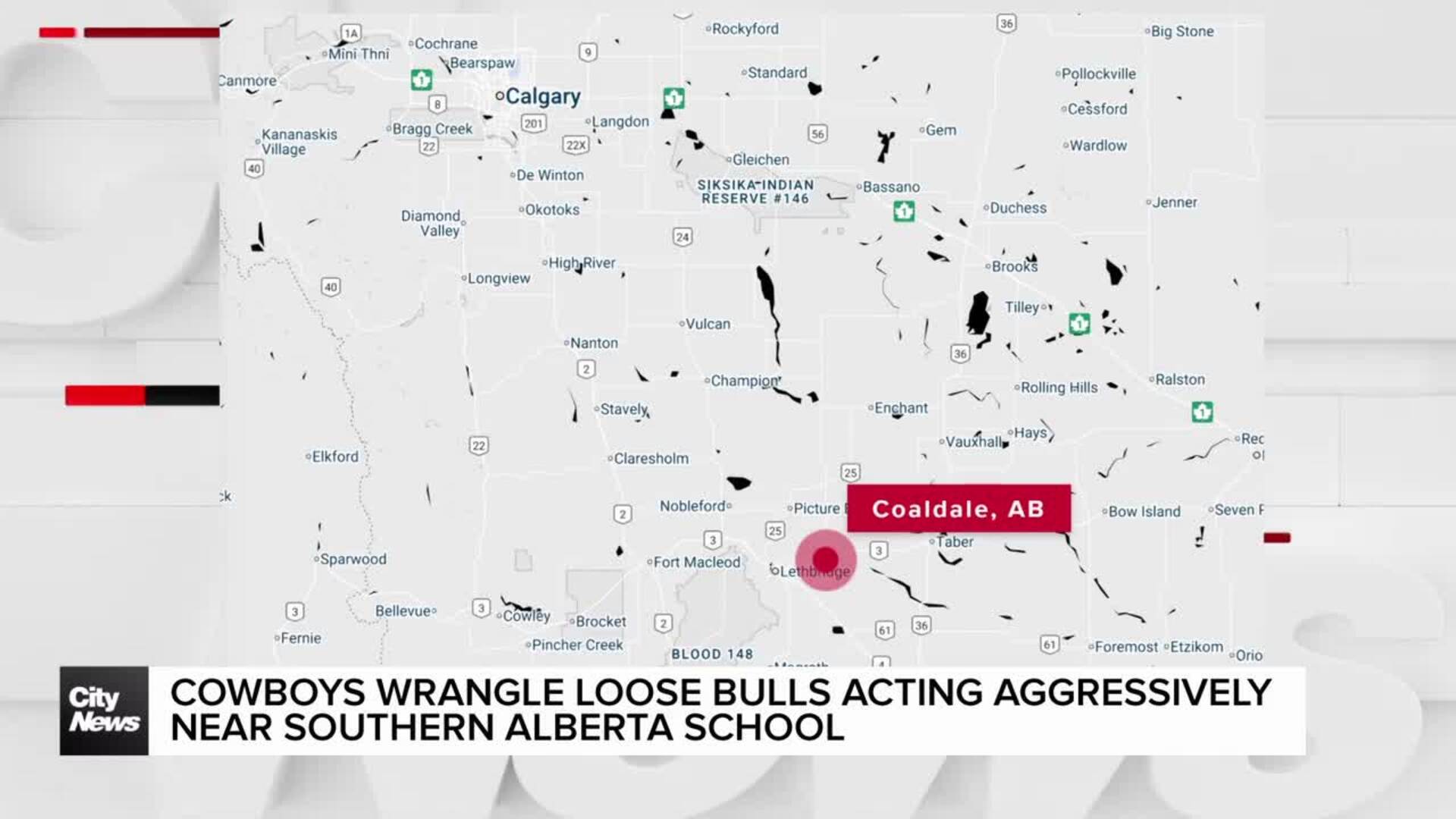 Calgary man arrested following Snapchat 'catch a predator' scheme in ...